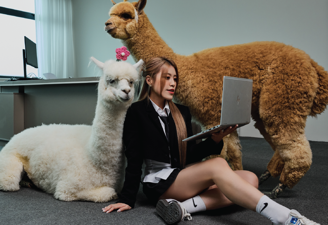 Smart Rental - Flexi Rental